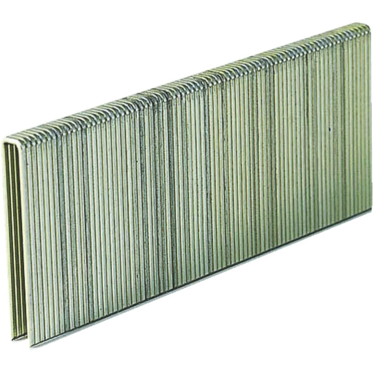 Grip-Rite 18-Gauge Galvanized L-Style Narrow Crown Finish Staple, 1/4 ...